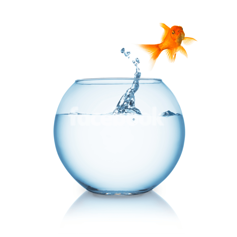 Pourquoi ne pas mettre de poissons rouges dans un bocal ? - Aquablog