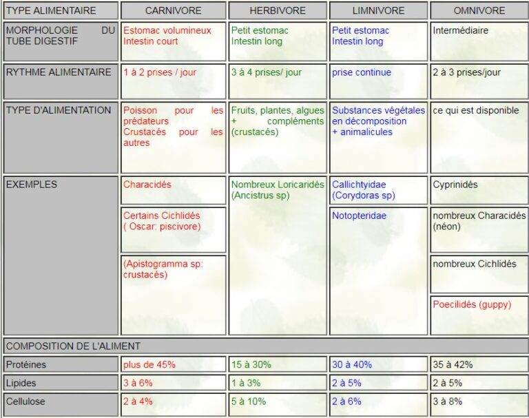 Les besoins alimentaires des poissons d'aquarium - Aquablog